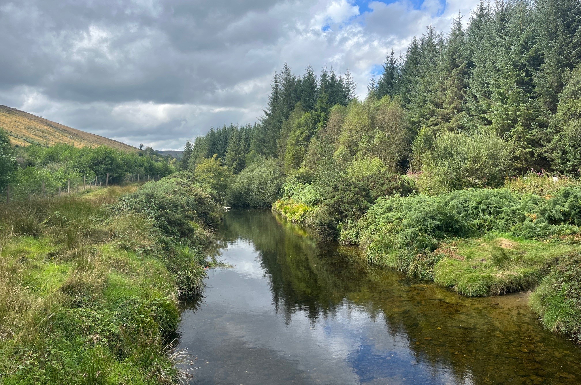 Aughrim River Spongeworks Project - Public Invitation